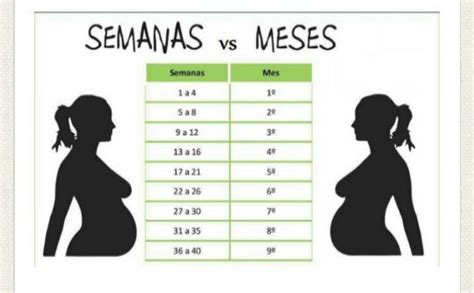 Cuanto tiempo es 32 semanas de embarazo - Sujeto