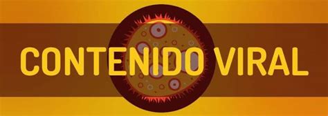 ¿Vale la pena perseguir contenido viral si no es útil? - Sujeto